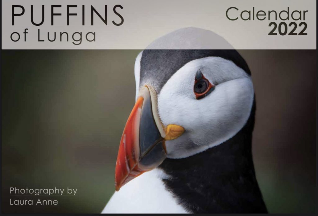 Puffins of Lunga calendar 2022