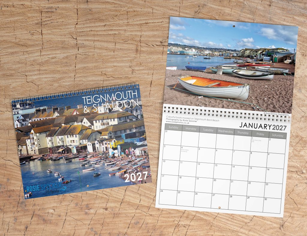 Teignmouth and Shaldon 2027 (Teignmouth on front)